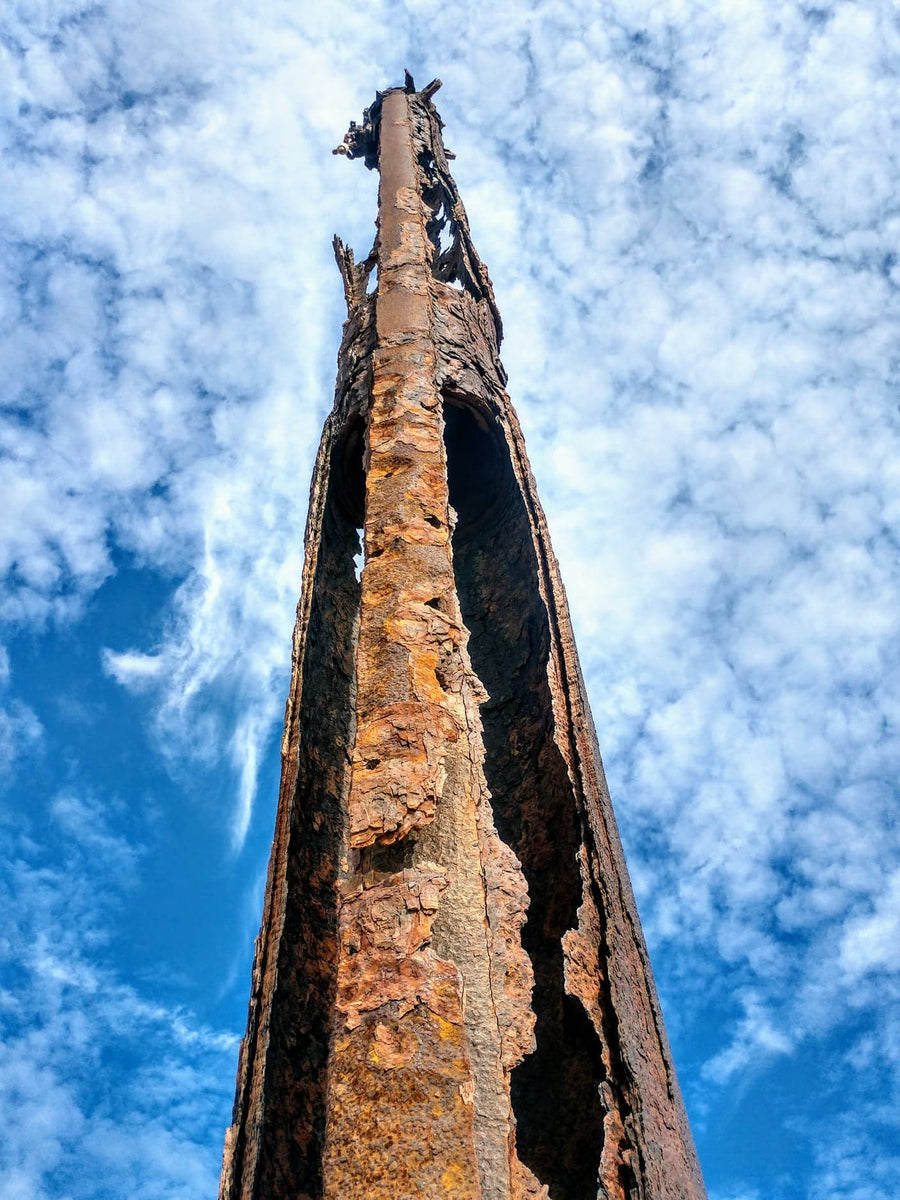 Sea King Mast – ScotsEye Gallery